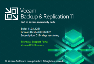 DiGiBoY › Windows 11